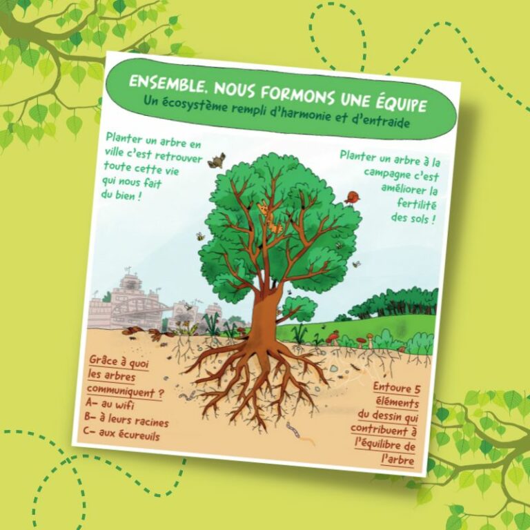 L'arbre et son écosystème