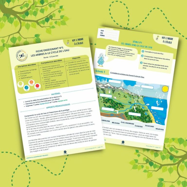 Kit pédagogique l'Arbre à l'École - Séance 1 - Les arbres et le cycle ...