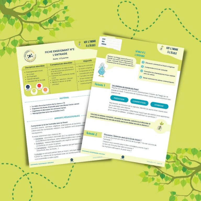 Kit pédagogique l'Arbre à l'École - Séance 2 - L'entraide