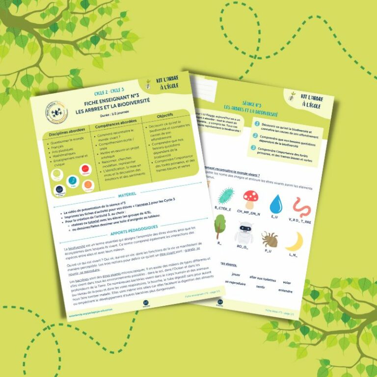 Kit pédagogique l'Arbre à l'École - Séance 3 - Les arbres et la ...