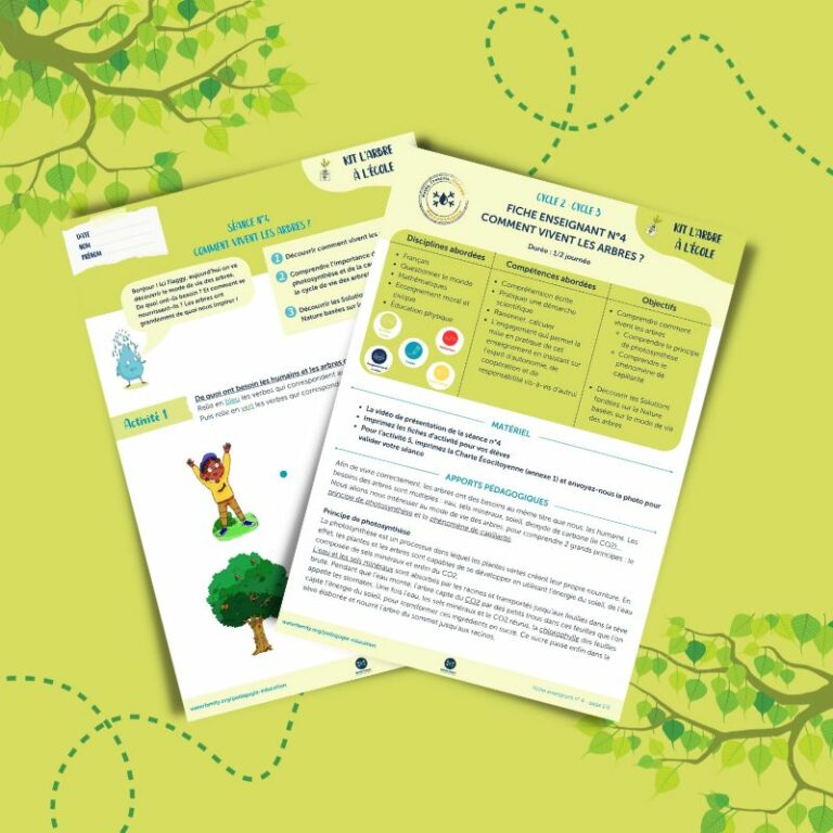 Kit pédagogique l'Arbre à l'École - Séance 4 - Le mode de vie des arbres