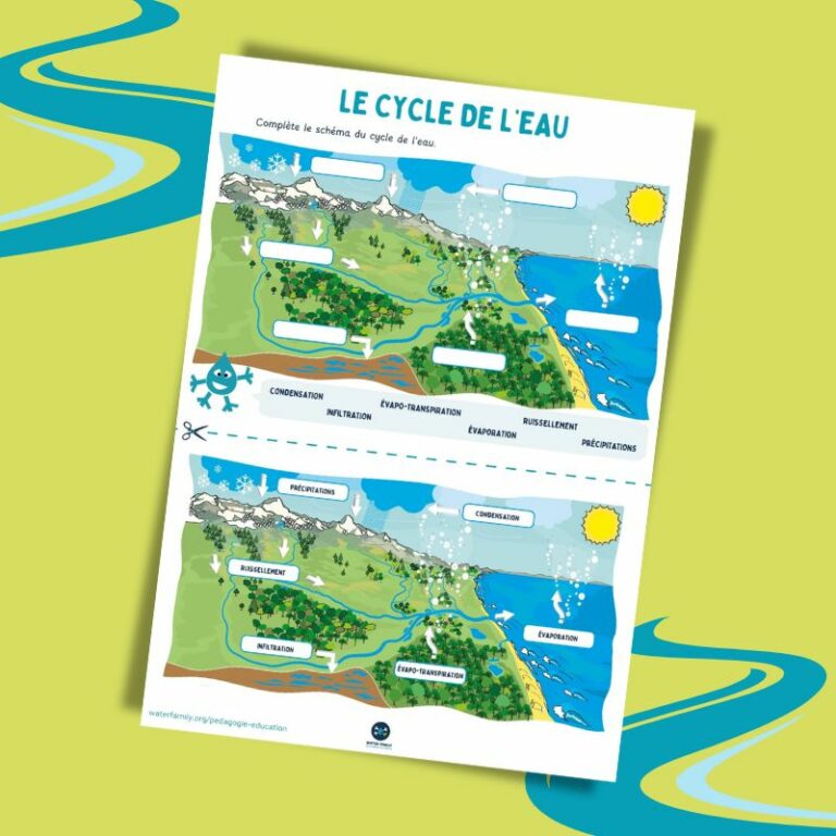 Le grand cycle de l'eau