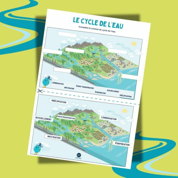 Le grand cycle de l'eau